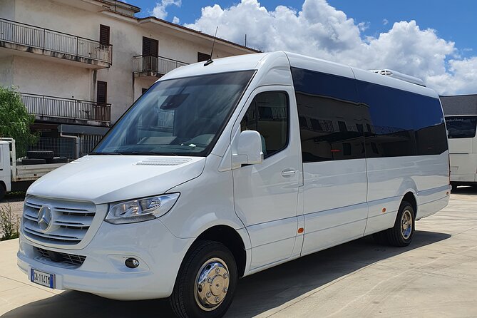 Round-Trip Shuttle Transfer from Naples to Pompeii - Authentic Experiences & Honest Feedback from Travelers