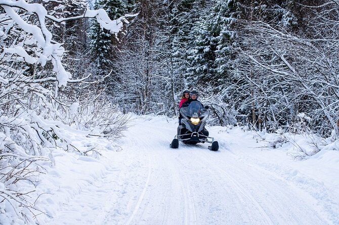 Rovaniemi Snowmobile Adventure & BBQ - 1Hour Drive, Small Group - Authentic, Memorable Moments