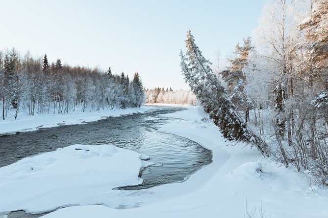 Rovaniemi: Winter Wonderland Vikaköngäs Hiking Tour & BBQ - Discovering Vikaköngäs: The Heart of the Tour