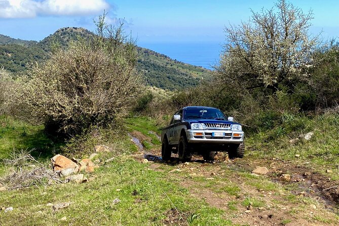 Safari Jeep Wild Adventure - Who Should Consider This Tour