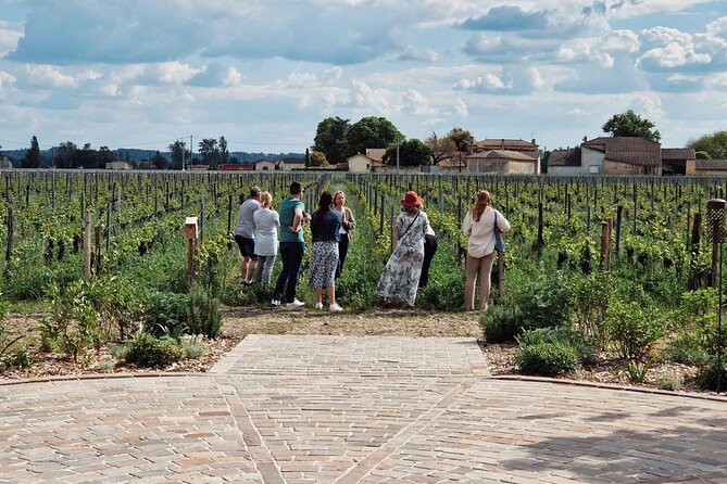 Saint-Emilion Afternoon Tour - 2 Wineries, tastings & delicacies - The Value for the Price