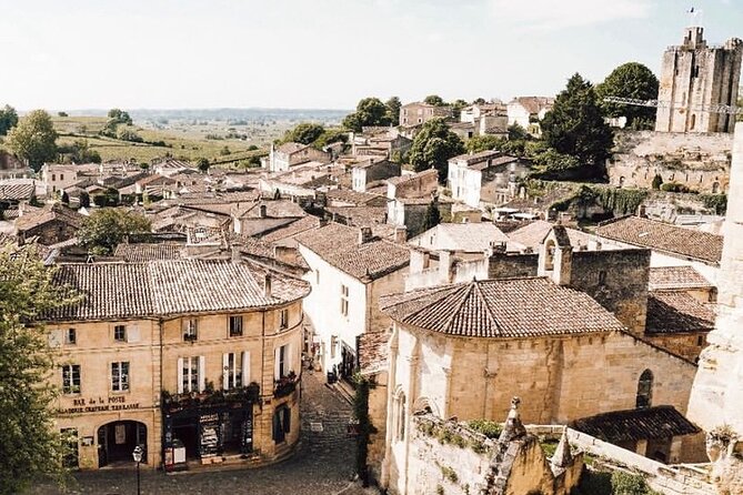 Saint Emilion Castle and Village Wine Tour - What Could Be Improved or Considered?