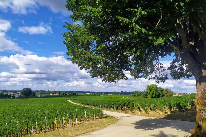 Saint-Emilion Private tour - Grand Cru Classé with an expert - How Does This Tour Compare in Value?
