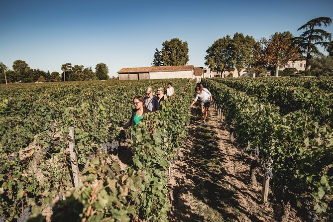 Saint-Emilion Small Group Day Tour with Wine Tastings & Lunch - Analyzing the Value