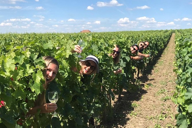 Saint-Emilion Winery Morning Tour with Local Guide - Authenticity and Overall Experience