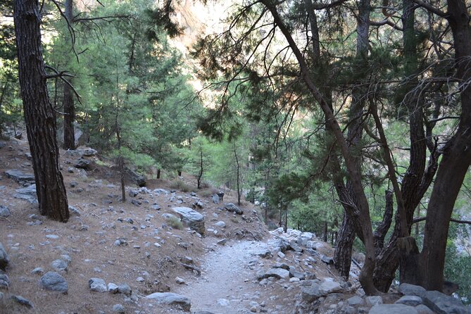 Samaria Gorge Hiking Tour from Chania with Professional Guide - The Sum Up