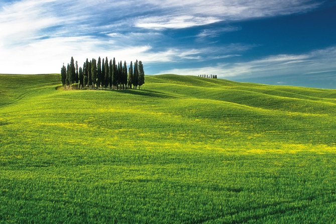 San Gimignano, Chianti, and Montalcino Day Trip from Siena - Who Will Love This Tour?