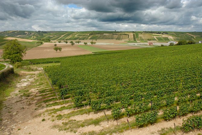 Sancerre & Pouilly-Fumé Wine Tour with Local Goats' Cheese and the River Loire - Authenticity and Comfort: A Perfect Balance