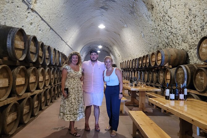 Santorini Exclusive Golden Wine Tasting Tour Experience - Who Will Appreciate This Tour?