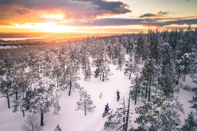 Scenic electric fat bike group ride in Rovaniemi - Who Is This Tour Perfect For?