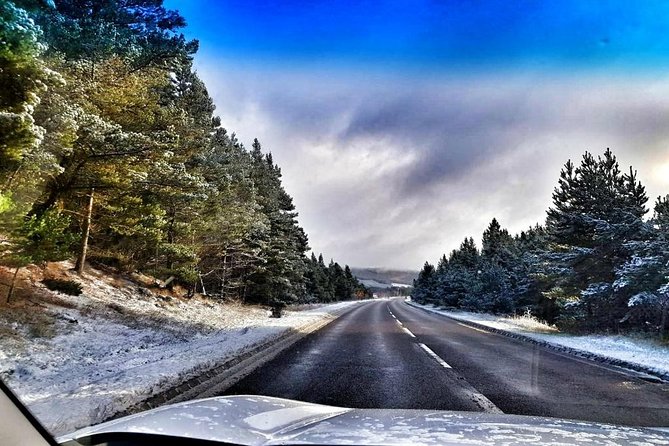 Scottish Highlands Private Day Tour with Scottish Local - Who Is This Tour Best For?