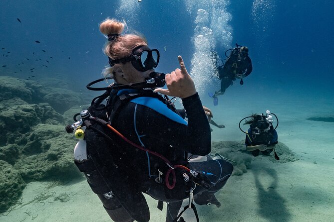 Scuba Diving at Turtle Bay with Underwater Pictures Included - Who Should Consider This Experience?