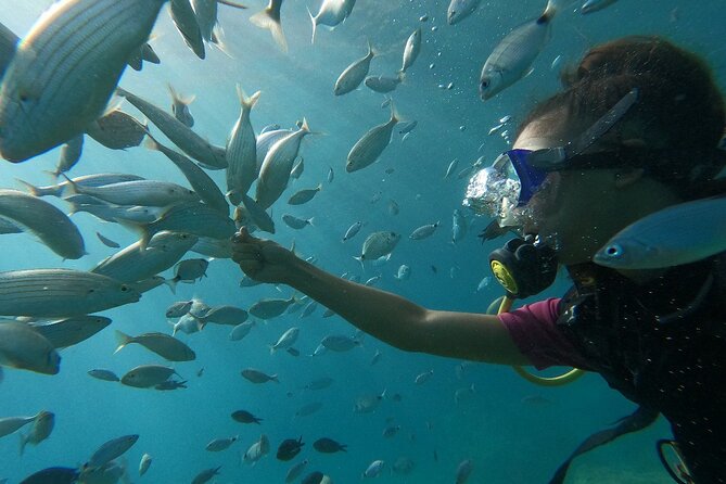 Scuba Diving Tour With Lunch in Alanya - The Sum Up: Why This Tour Works