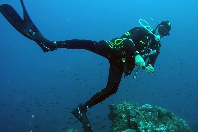 Scuba Experience - Who Will Enjoy This Tour?