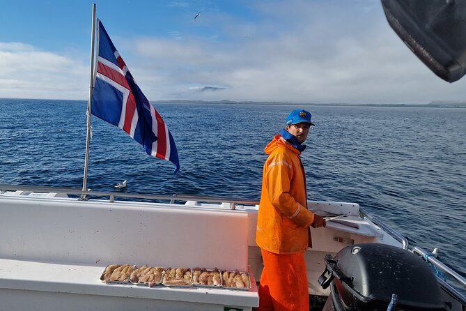 Sea Fishing Experience from Reykjavik - The Scenic Summer Pass