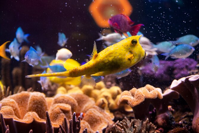 SEA LIFE Hannover Ticket - Staff and Visitor Interaction