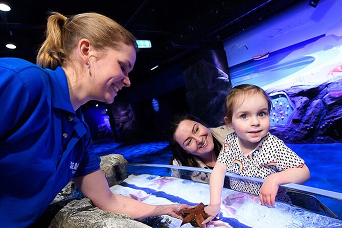 SEA LIFE London Aquarium Admission Ticket - The Itinerary and What You’ll Encounter