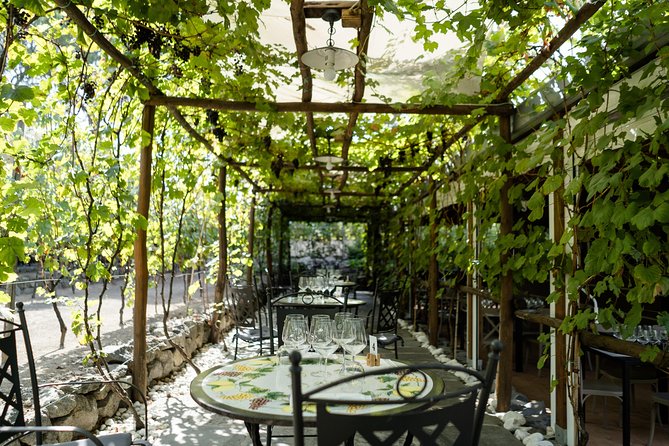 Seafood Lunch & Wine Tasting with Scenic Golf Cart Tour - What the Reviews Say