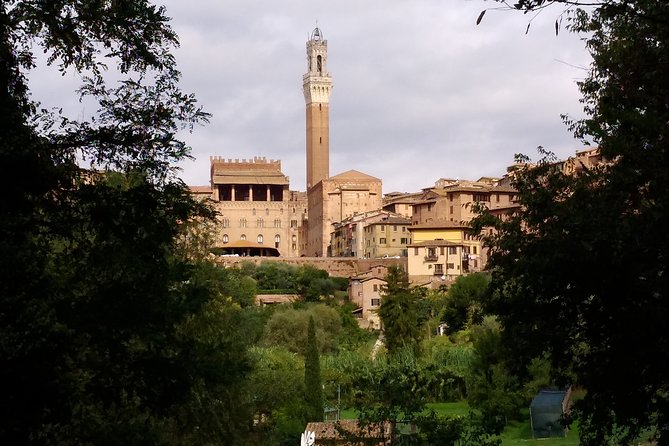 Secret Siena Walking Tour - The Guide: Roberta’s Expertise and Hospitality