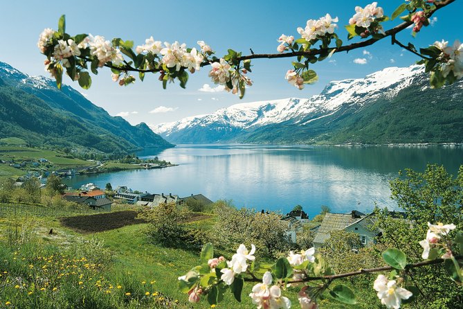 Self-Guided 22-Hour Round Trip From Oslo To Sognefjord With Flåm Railway - Who Will Love This Tour?