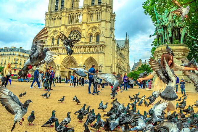 Self-Guided Audio Tour: Notre Dame de Paris Cathedral (no ticket) - Pricing and Value