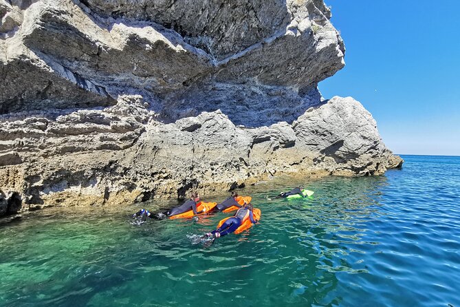Sesimbra by Seaview Board - Analyzing the Price and Overall Value