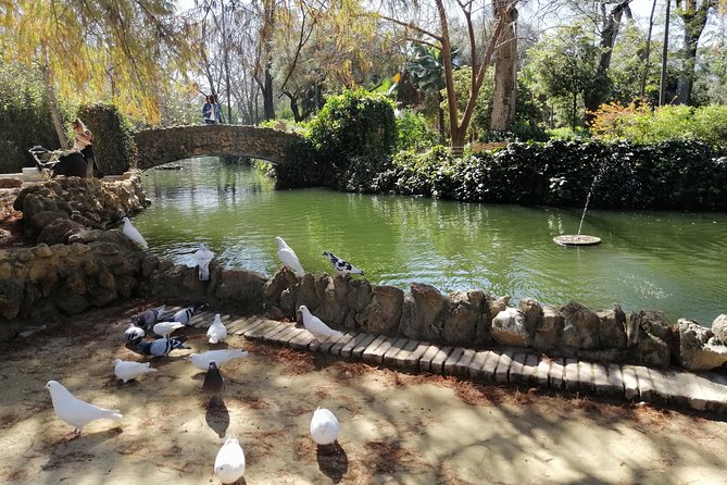 Seville Full Day Tour - Authentic Experiences and Genuine Stories