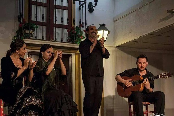 Seville Pure Flamenco Tour - Who Should Consider This Tour?