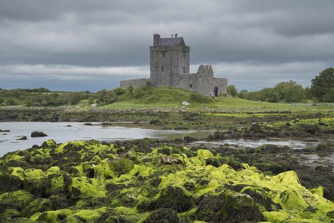 Shannon Airport to the Cliffs of Moher en route to Galway - What Makes This Tour Stand Out?
