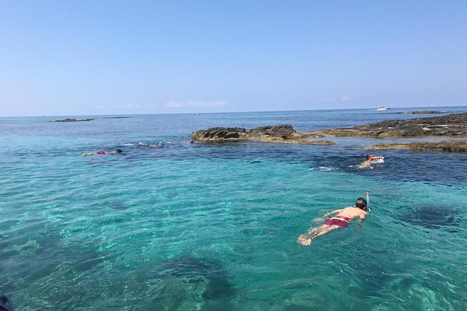 Shared snorkeling tour from Tropea to Capo Vaticano - The Atmosphere on Board