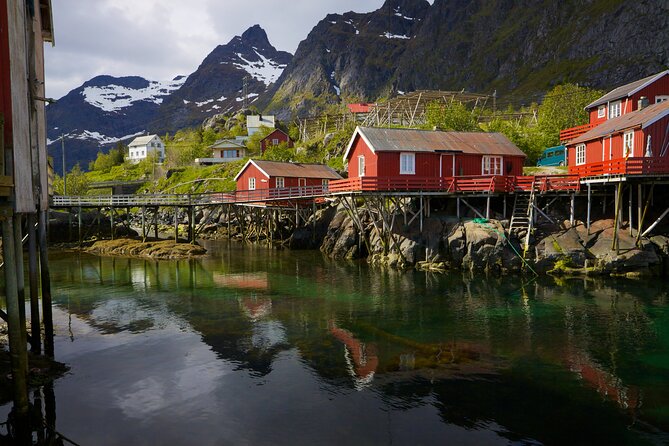 Shore Excursion Full day Private Tour in Lofoten - The Experience and Timing