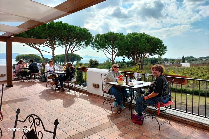 Shore excursion Naples city tour, Pompeii & Winery Cantina del Vesuvio - FAQ
