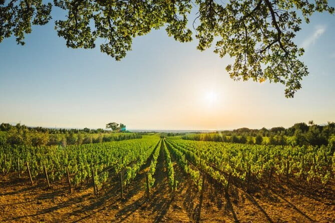 Siena & San Gimignano: Exclusive Tuscany Day Trip from Florence - The Sum Up