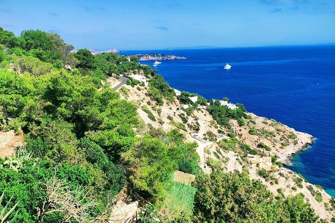 Sightseeing Day Trip along the South West Coast of Ibiza ES Vedra - Final Thoughts