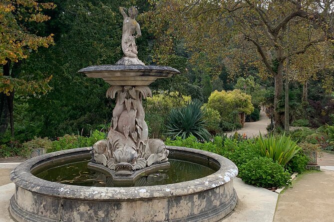 Sintra and Monserrate Palace half day private tour - The Tour Pacing and Duration: Balance and Flexibility