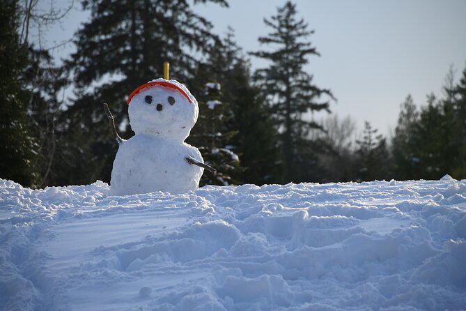 Ski & Snow Tour to Bakuriani from Kutaisi with Borjomi Stop - Is This Tour Right for You?