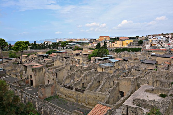 Skip the Line Herculaneum Ruins Ticket - FAQs