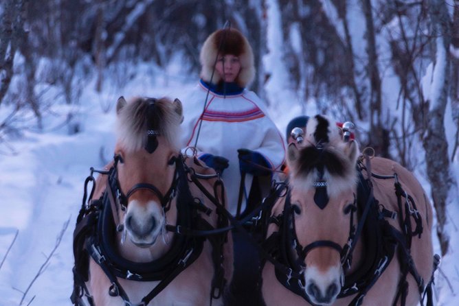 Sleigh Ride w/ Tapas Meal - Experience Arctic Farm Life - Who Will Love This Tour?