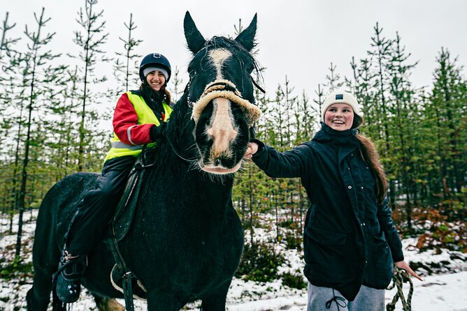 Small-Group Arctic Circle Horse Riding from Rovaniemi - Guides and Personal Touch