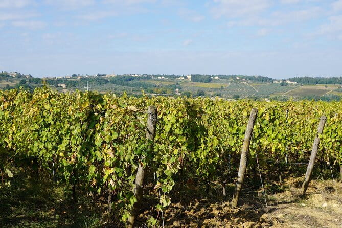 SMALL GROUP Chianti 2 wineries & meat feast @ Dario Cecchini - Why This Tour Works for Travelers
