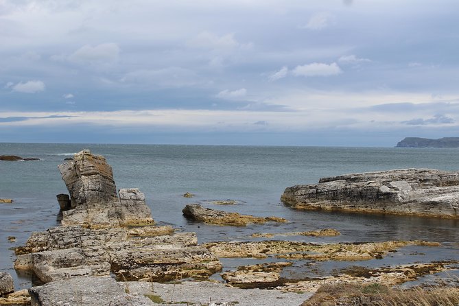 Small Group Giant's Causeway Day Tour from Belfast - Guides: The Heart of the Tour