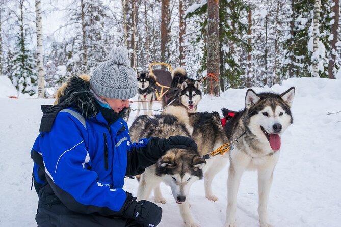 Small-Group Husky Mushing Experience in Rovaniemi - Who Will Love This Experience