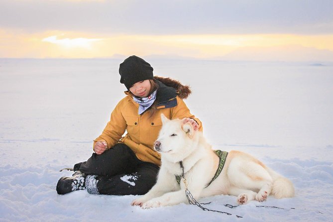 Small Group Husky Sledding Tour from Capital Region - Who Will Love This Tour?