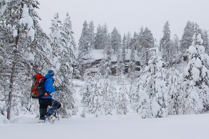 Small-Group Snowshoeing Adventure In Lapland - Analyzing the Cost and Value