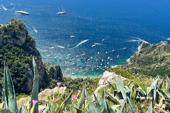 Small Group Tour from Rome to Blue Grotto, Anacapri and Capri - The Bottom Line: Who Should Consider This Tour?