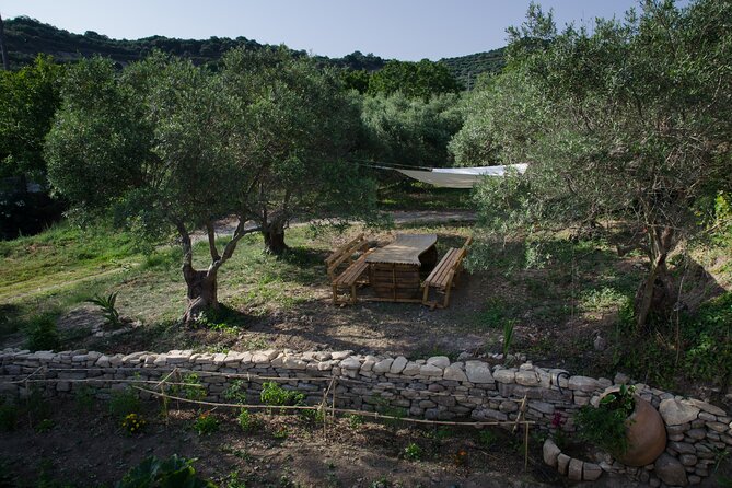 Small-Group Wine Tasting Activity in West Chania - Final Thoughts: Who Should Book This Tour?