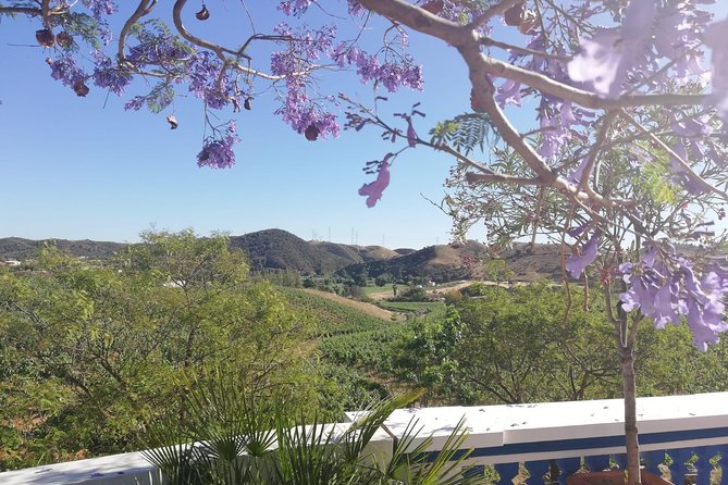 Small-Group Wine Tour & Silves Exploration (from Albufeira) - FAQ