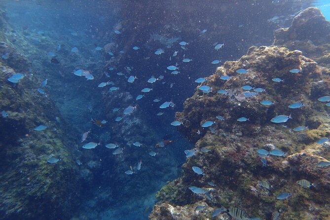 Snorkel Experience in Lanzarote - The Instructor and Safety Measures