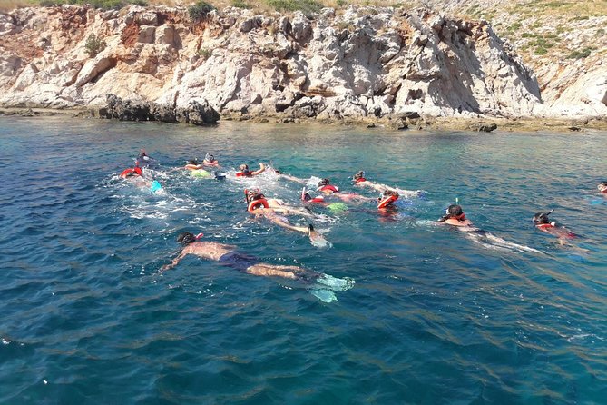 Snorkeling marine protected area Tavolara - The Guide Experience