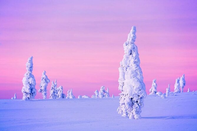 Snowmobile and Ice Fishing Experience - Final Thoughts